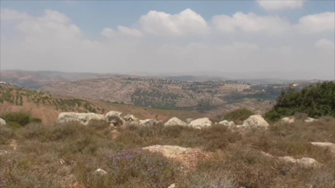 Kerem Navot | Rosa Luxemburg Stiftung Israel