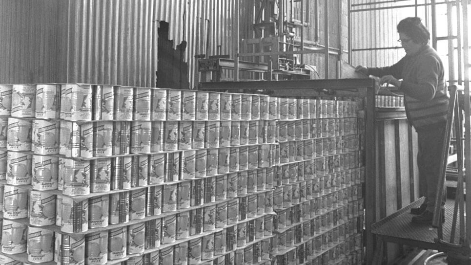 Die politische Ökonomie der Kibbuz-Bewegung | Rosa Luxemburg Stiftung ...